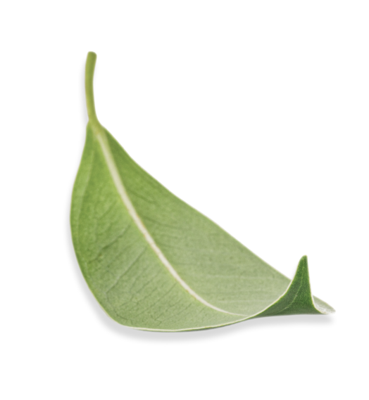 Keve kozmetikumok - varázsold természetesen ragyogóvá bőröd!